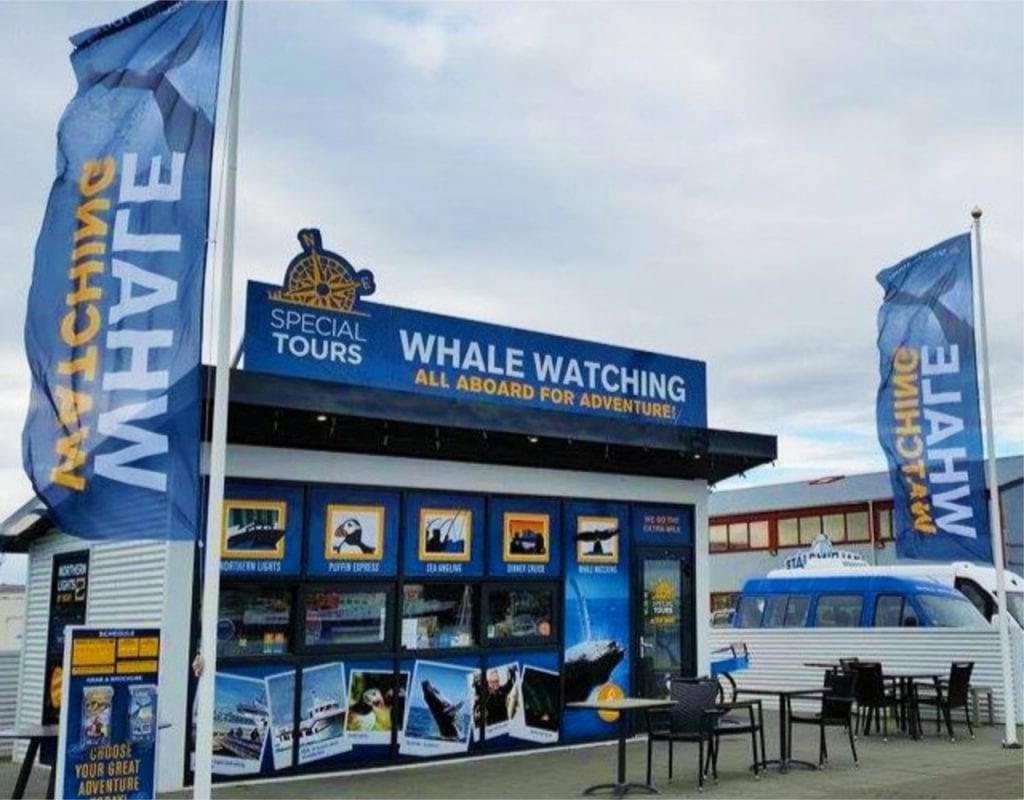 Special tours whale watching - B14